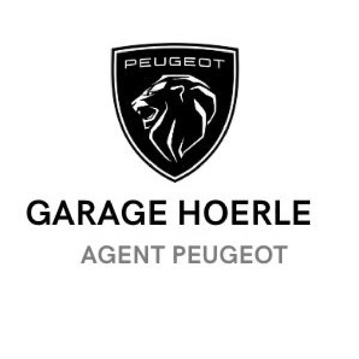 Concessionnaire Voiture | Proche Strasbourg | GARAGE HOERLE